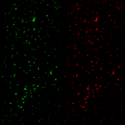 UZH - Roland Sigel - Single-molecule Foerster Resonance Energy Transfer ...